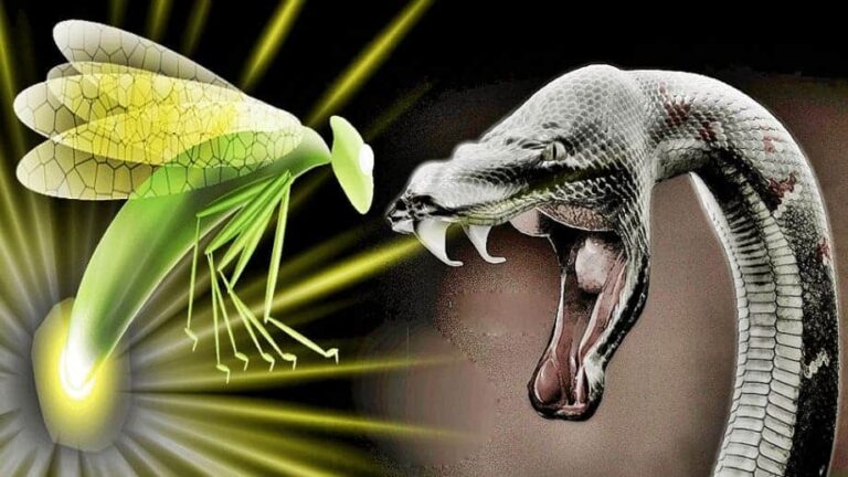 Ilustrações Bíblicas Diversas Ilustrações Cristãs