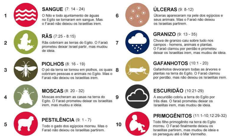 As 10 Pragas Do Egito Quais São E O Que Significam