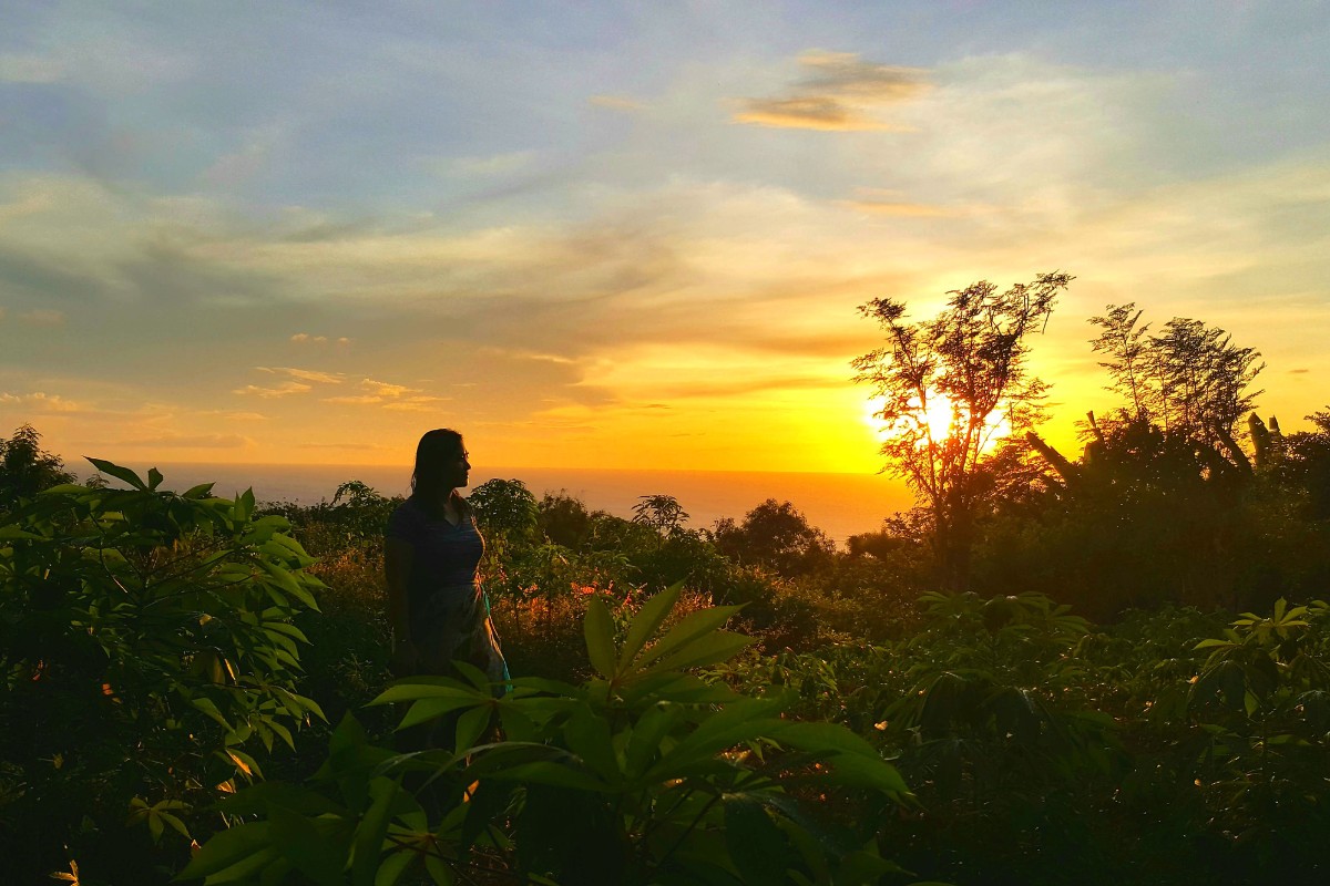 Jardim Do éden Significado - RETOEDU
