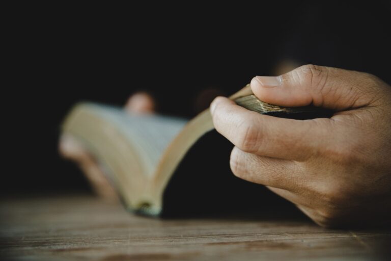 Parábola do Joio e do Trigo: Significado, Explicação e Lições